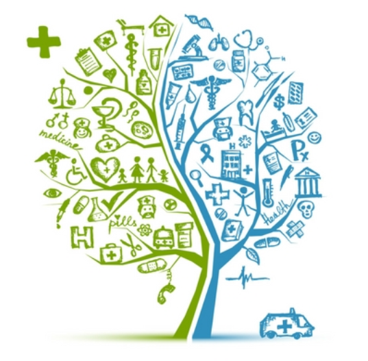 Medical History – Geneographer